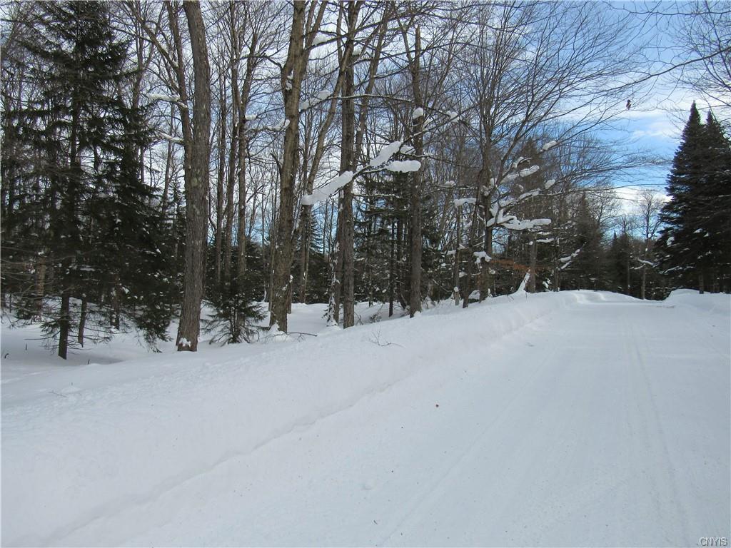 Tamarack Drive, Webb, NY 13420 · $170,000 · Town of Webb | Virtual tour ...